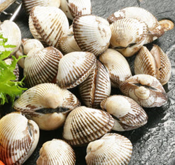 국내산 수산물 전문쇼핑몰 Fishsale